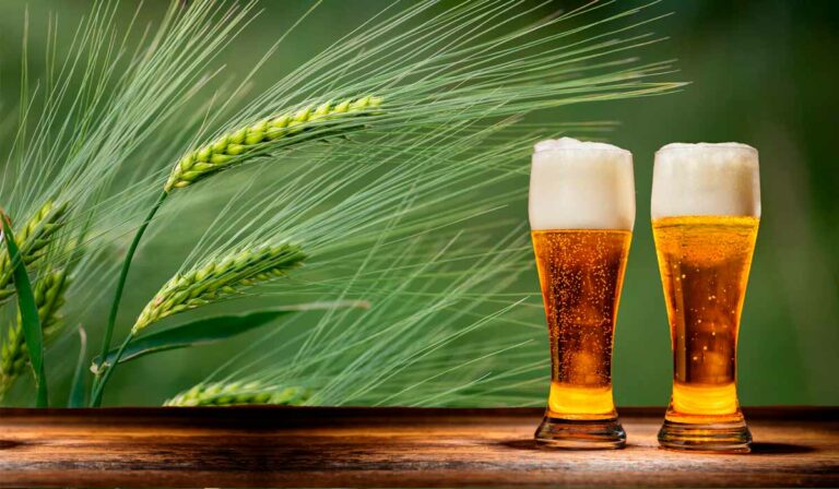 Cultivo de cevada expande-se pelo Rio Grande do Sul