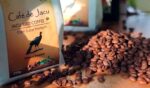 Café do jacú é ecológico e valorizado