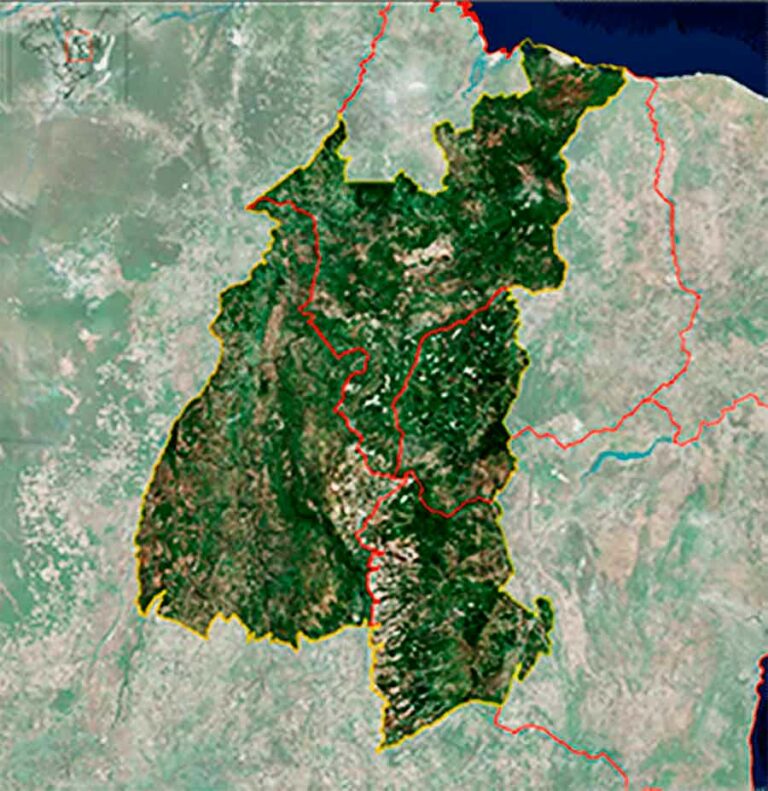 Matopiba lidera o desmatamento no cerrado brasileiro